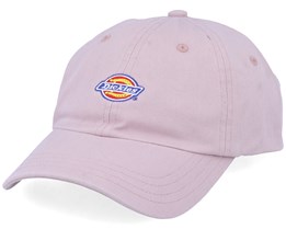 Dickies Caps - Huge Selection | Hatstore