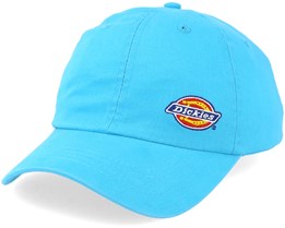 Dickies Caps - Huge Selection | Hatstore