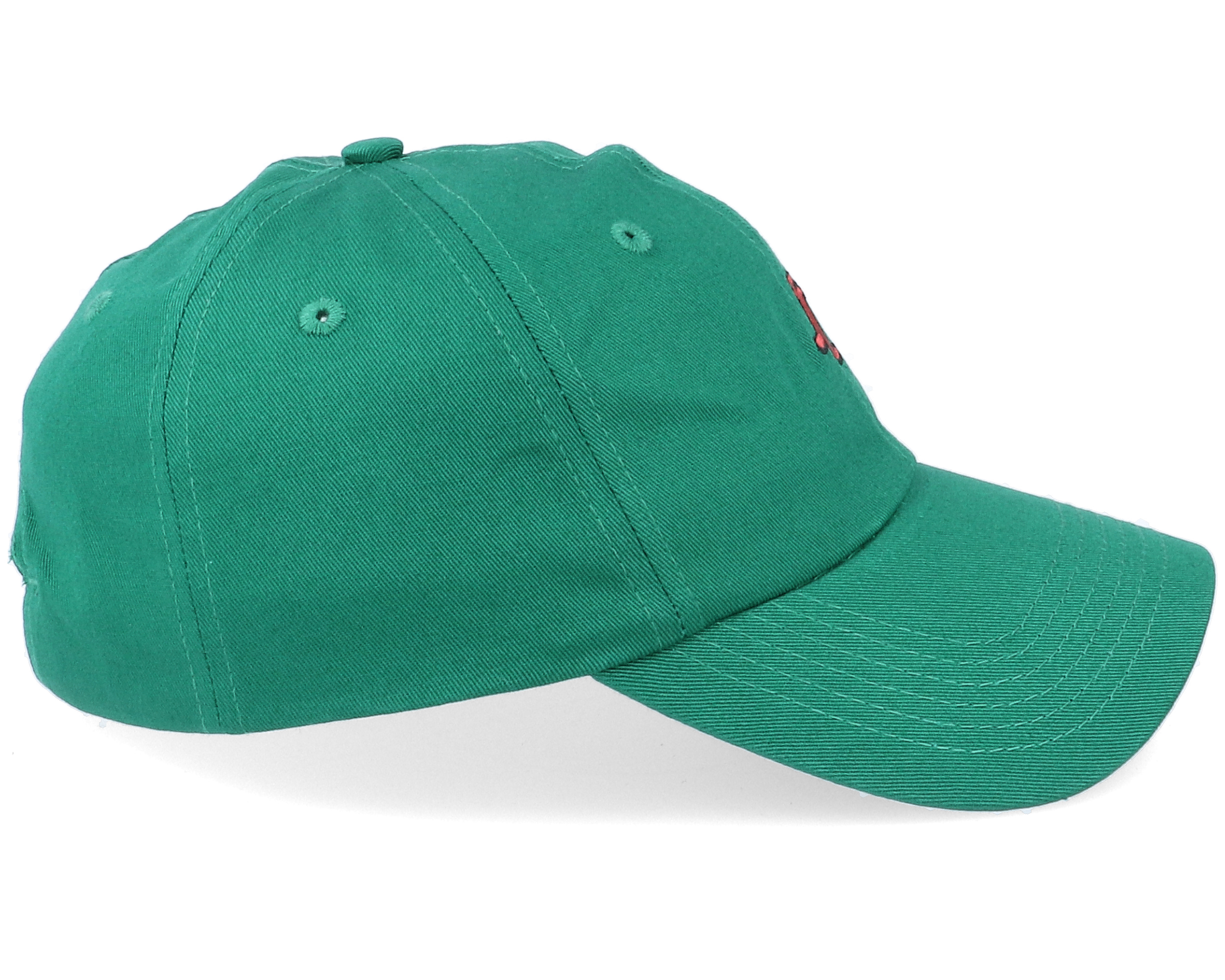 Sc Cap Evergreen Dad Cap - Santa Cruz caps - Hatstoreworld.com