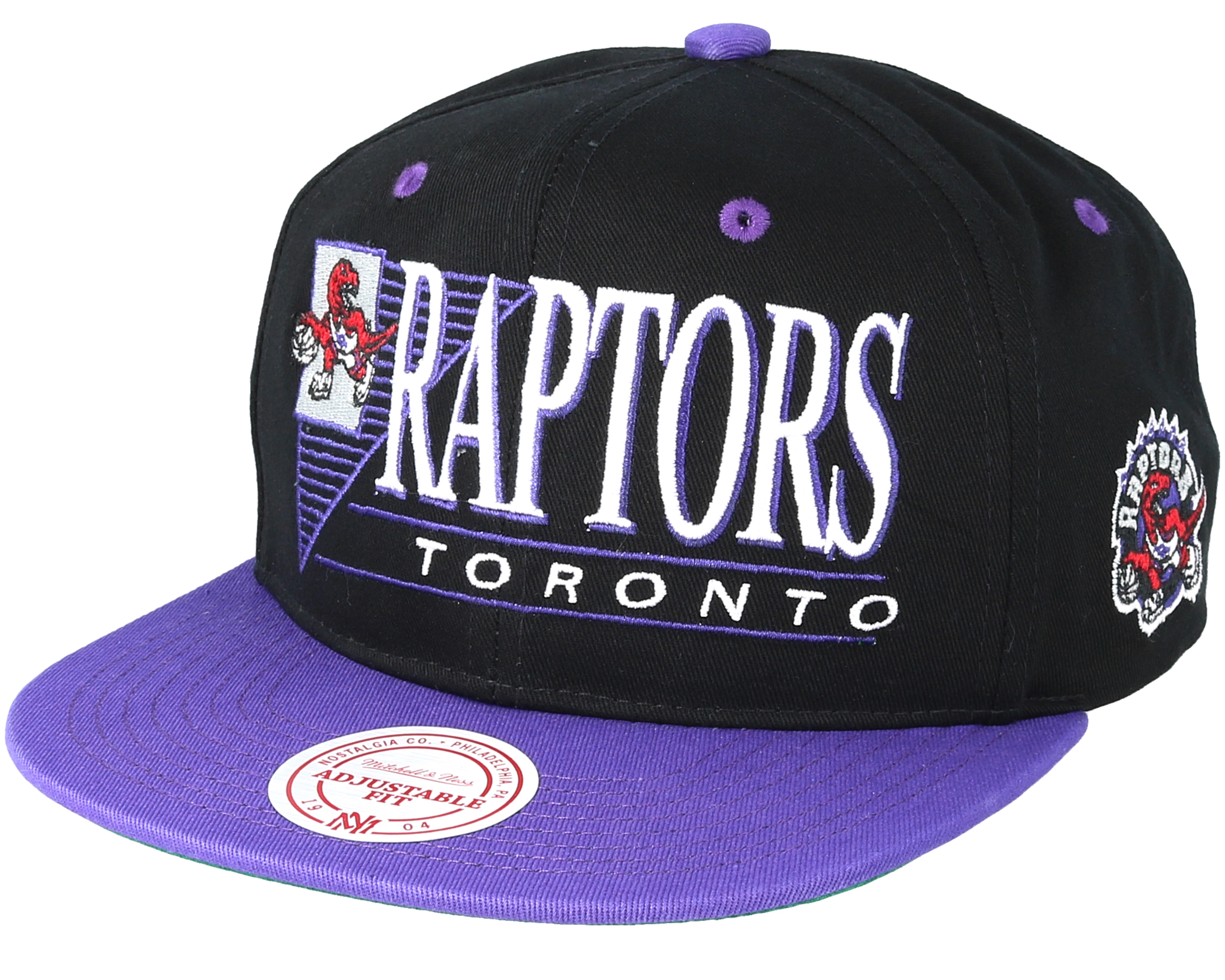 Toronto Raptors Horizon Black/Purple Snapback - Mitchell & Ness caps ...