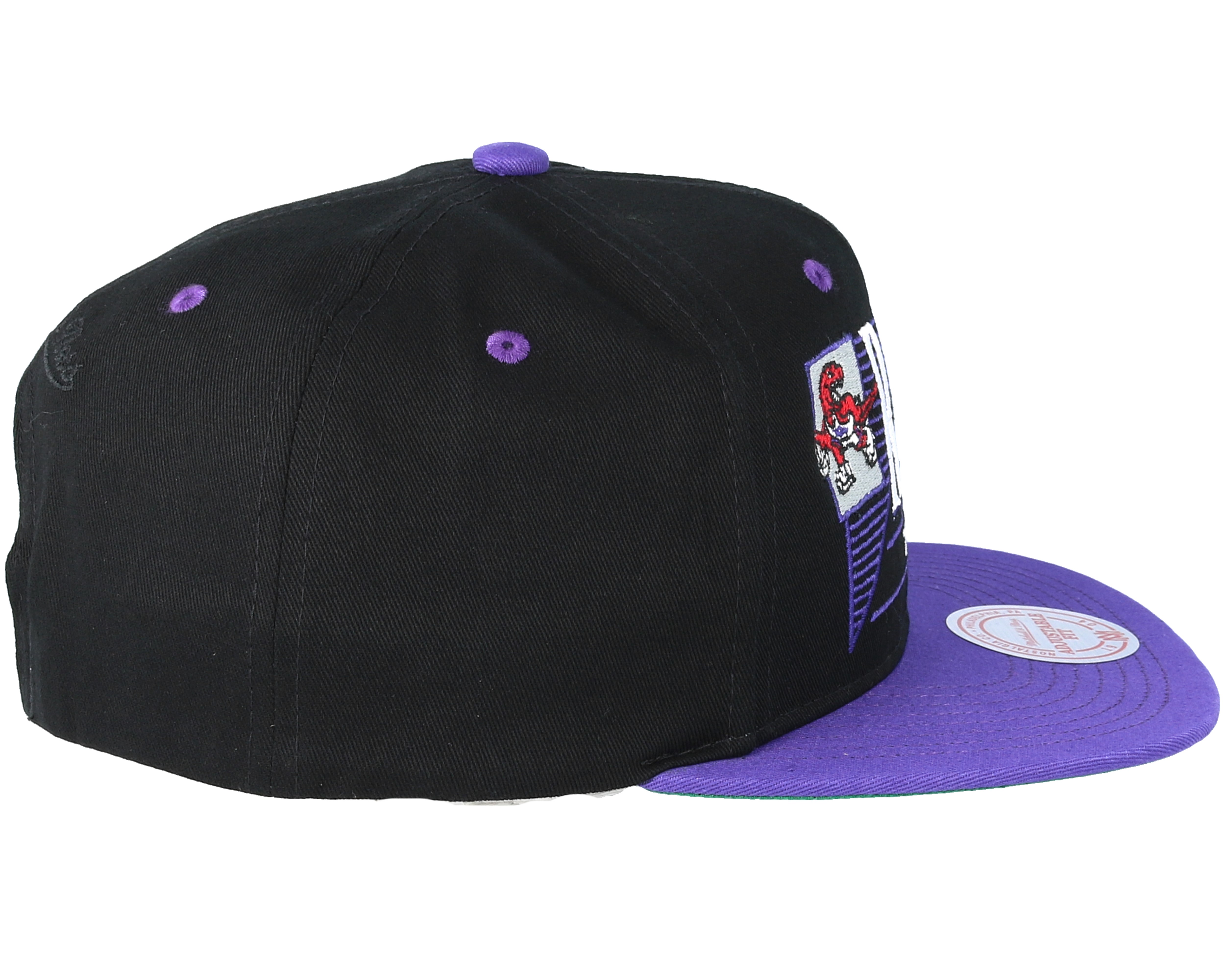 Toronto Raptors Horizon Black/Purple Snapback - Mitchell & Ness caps ...
